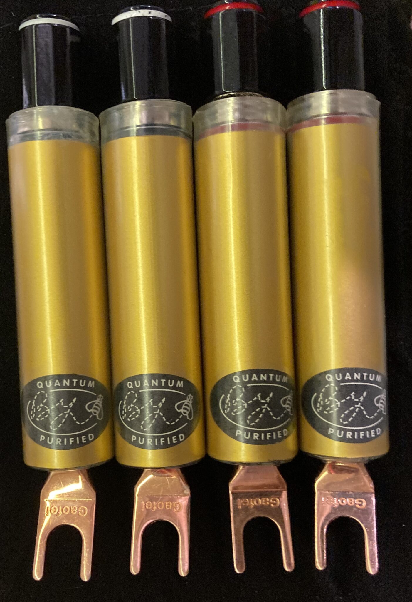 Popular Products at Bybee Technologies