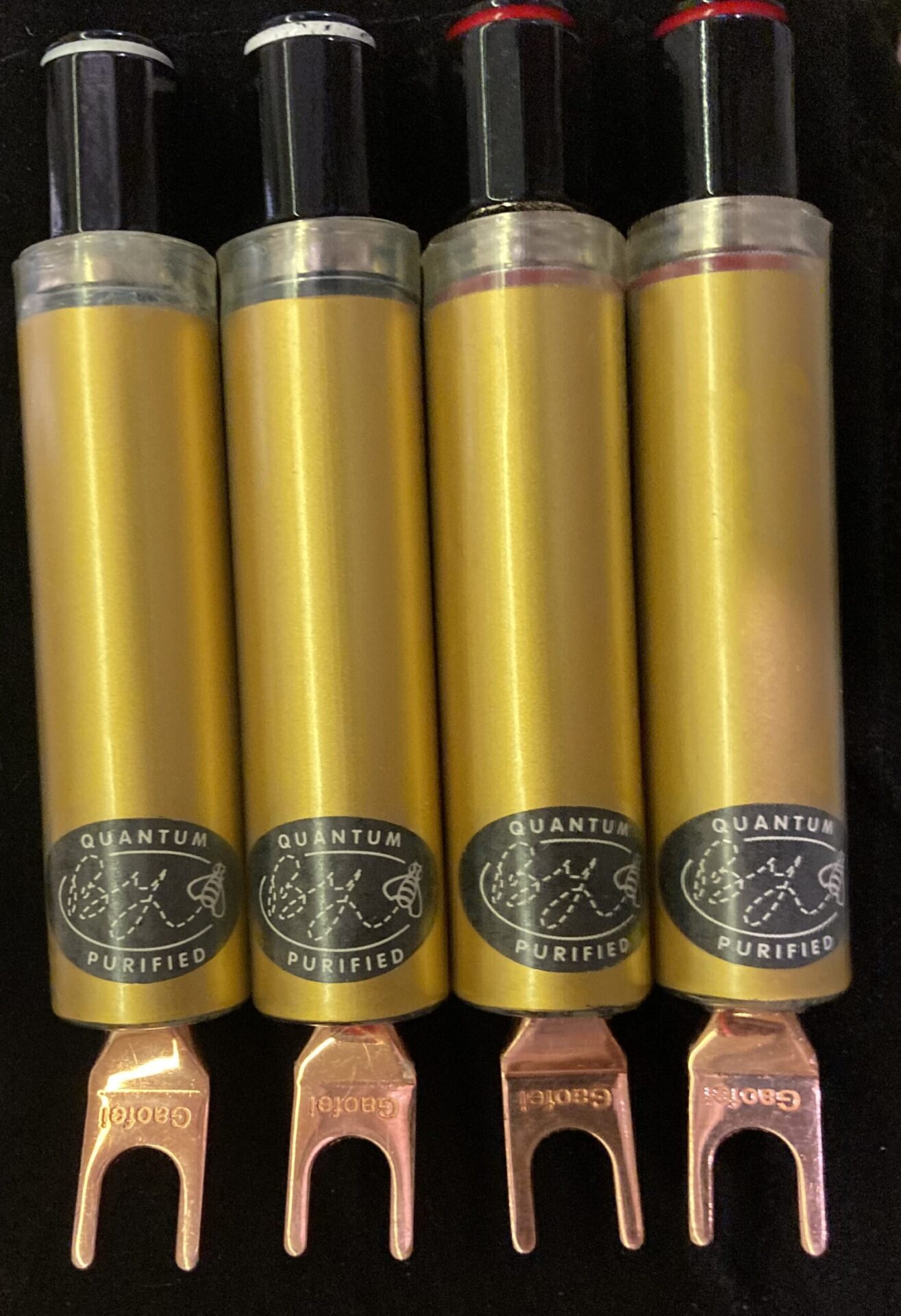 Popular Products at Bybee Technologies